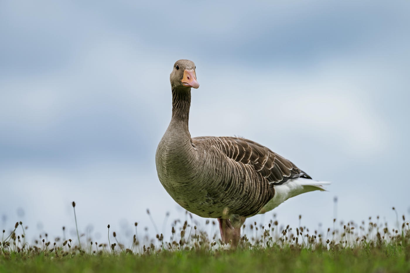 Lesergalerie: Das waren eure Fotos für August 2025